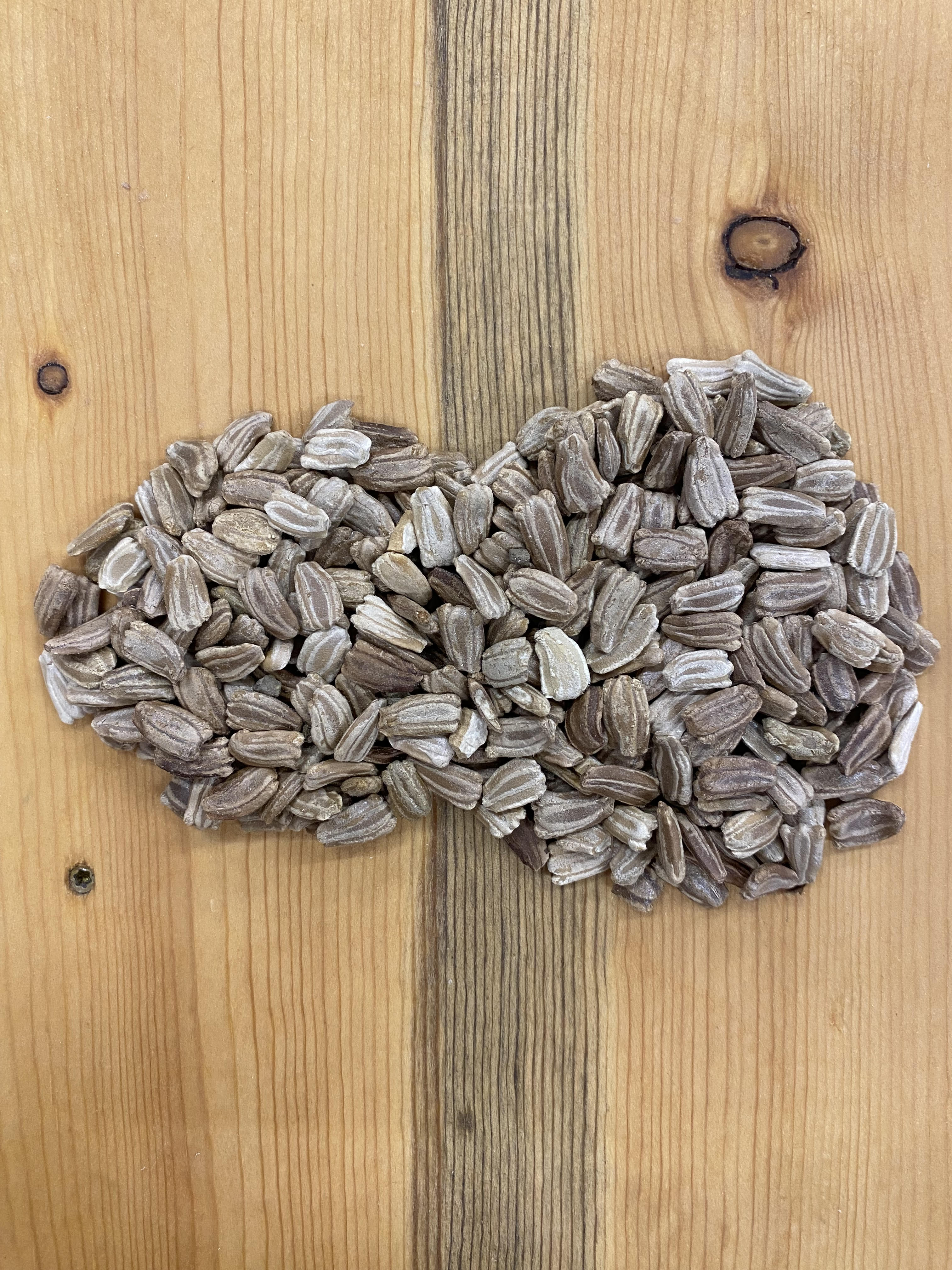 Hopi Rattle Gourd – MASA Seed Foundation