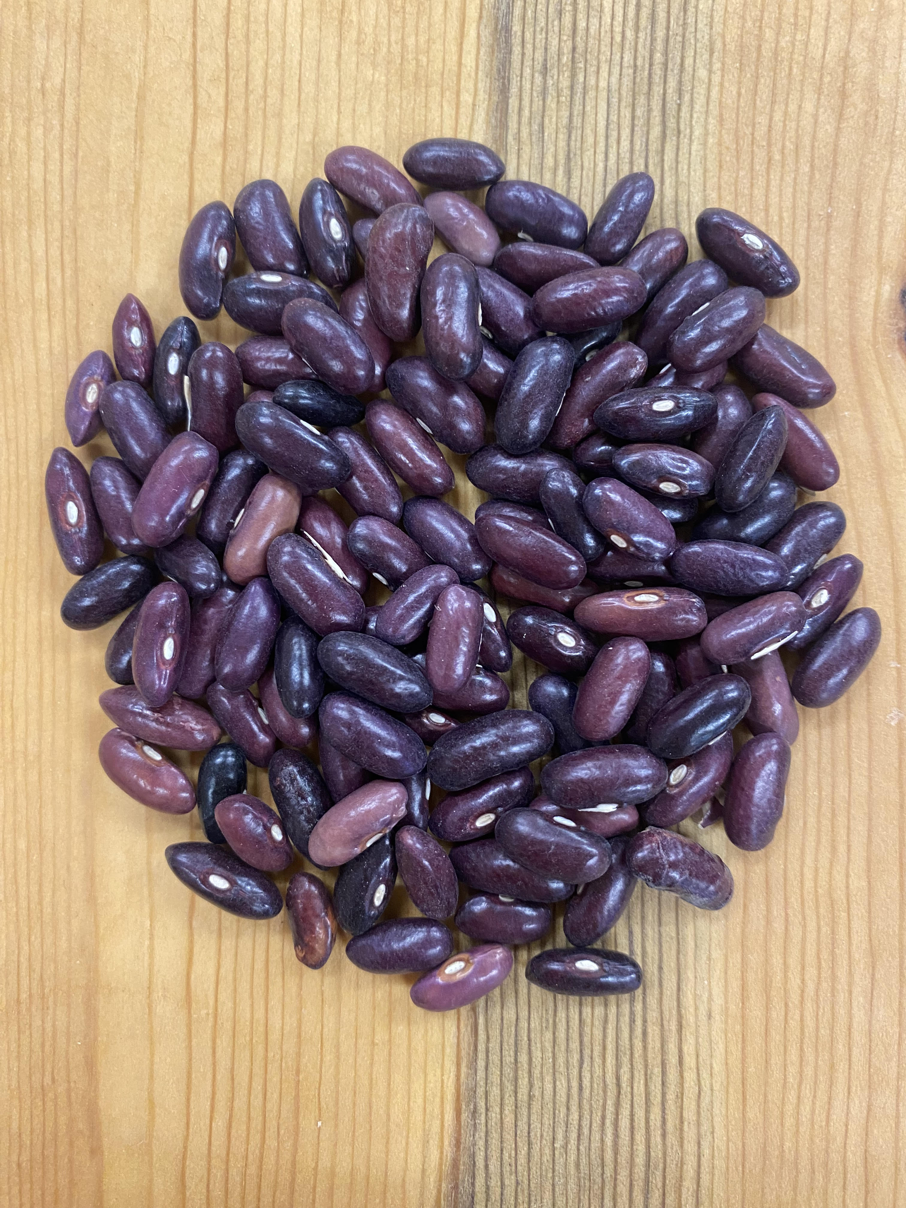 Snap Bean - Provider – MASA Seed Foundation