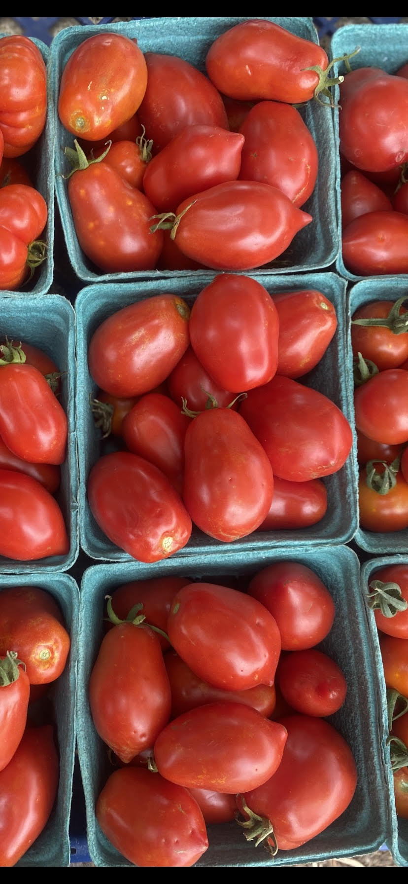 Tomato - Gila Roma Paste – MASA Seed Foundation